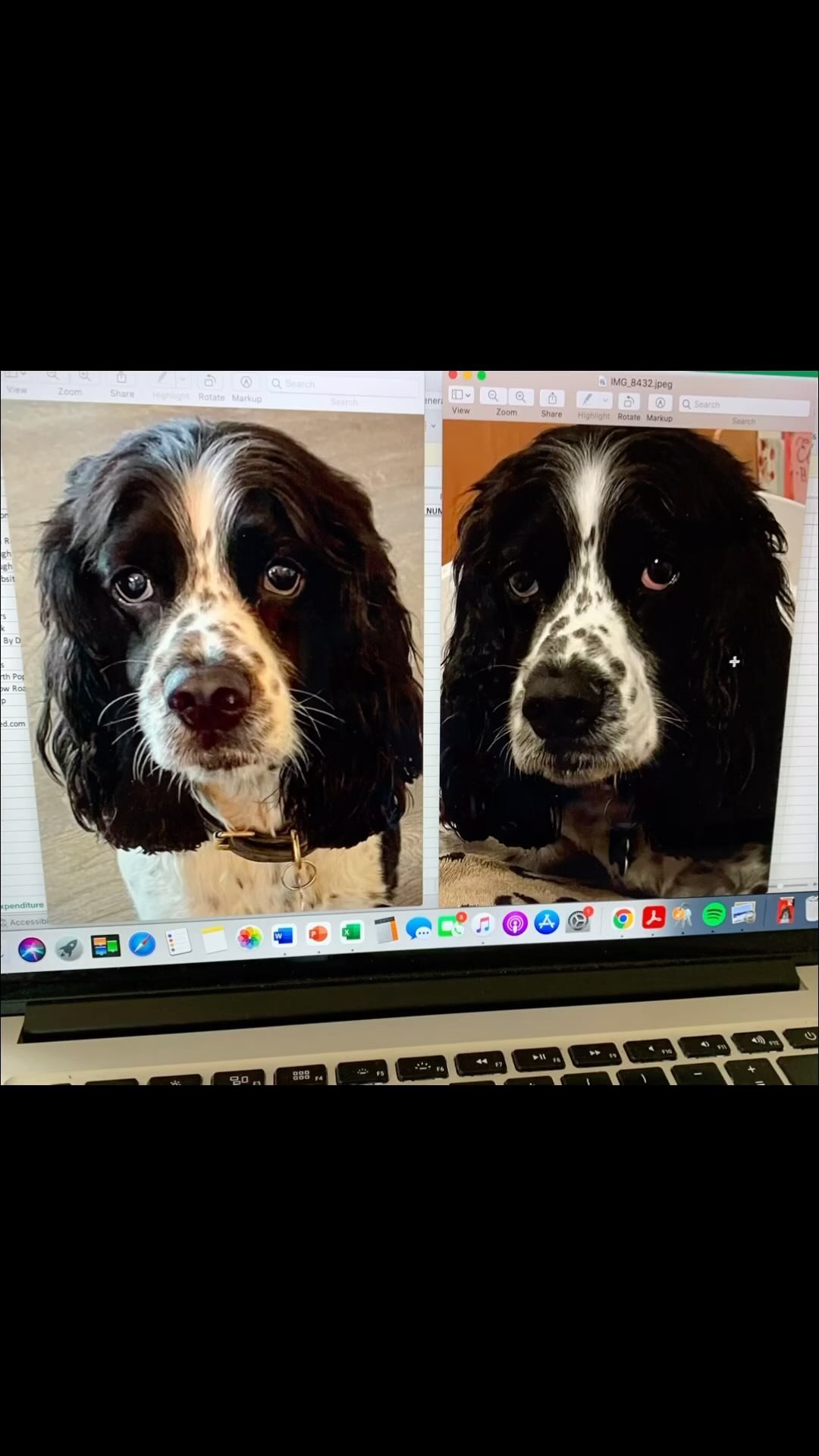 Grayson Print - Pup Goes The Easel