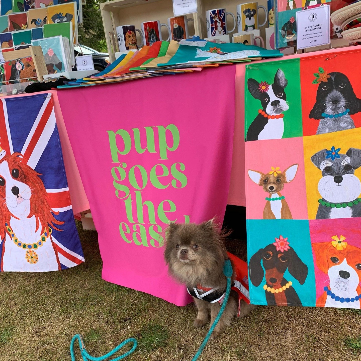 About - Pup Goes The Easel